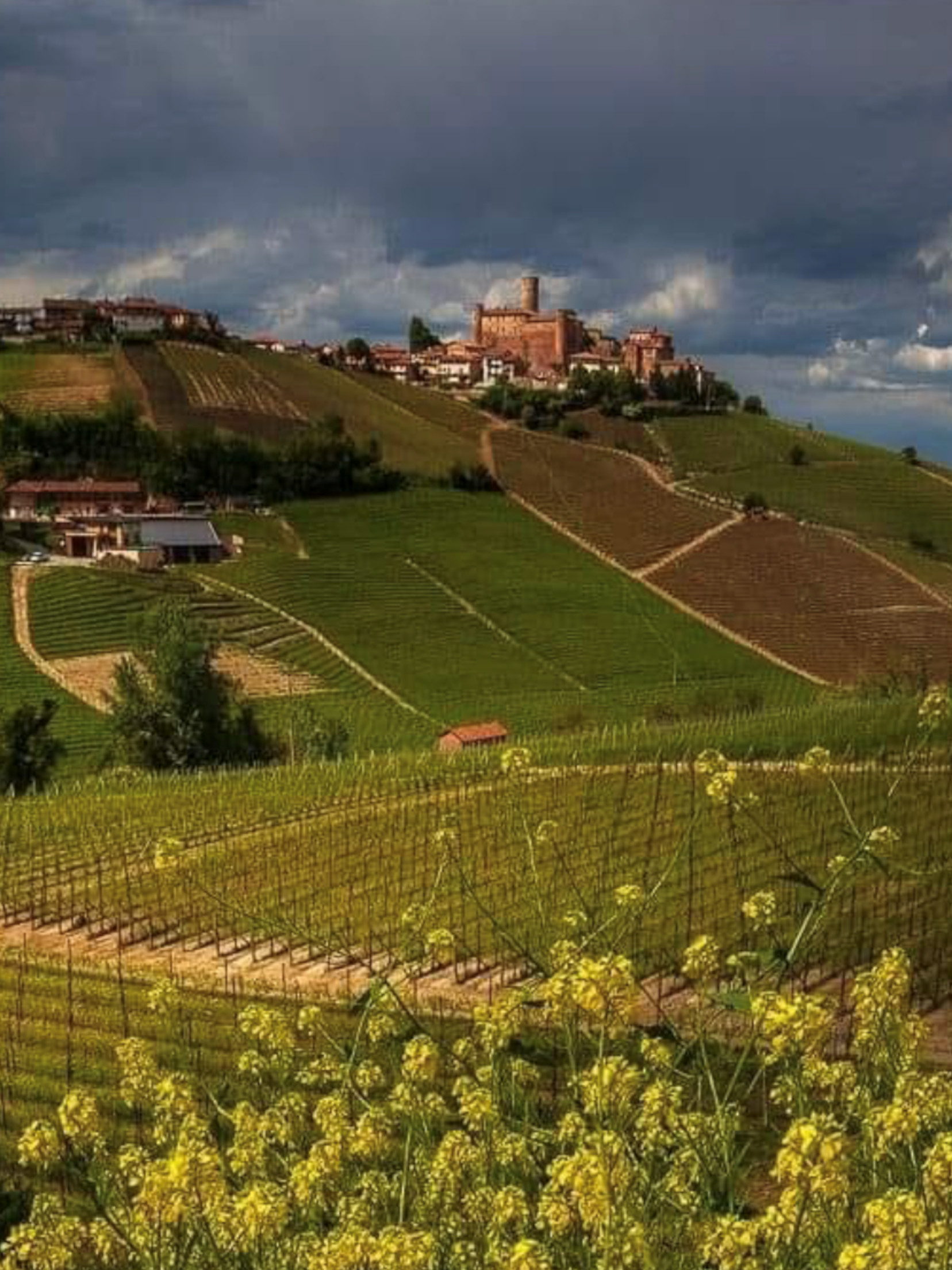 Famija Albèisa - Home